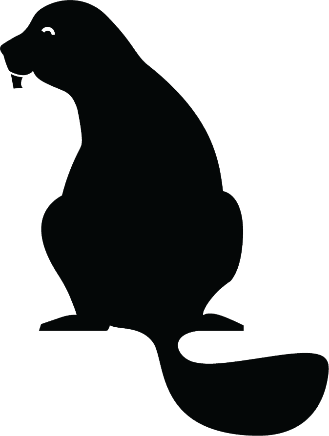 Gael Ruta Gatera | Software Developer